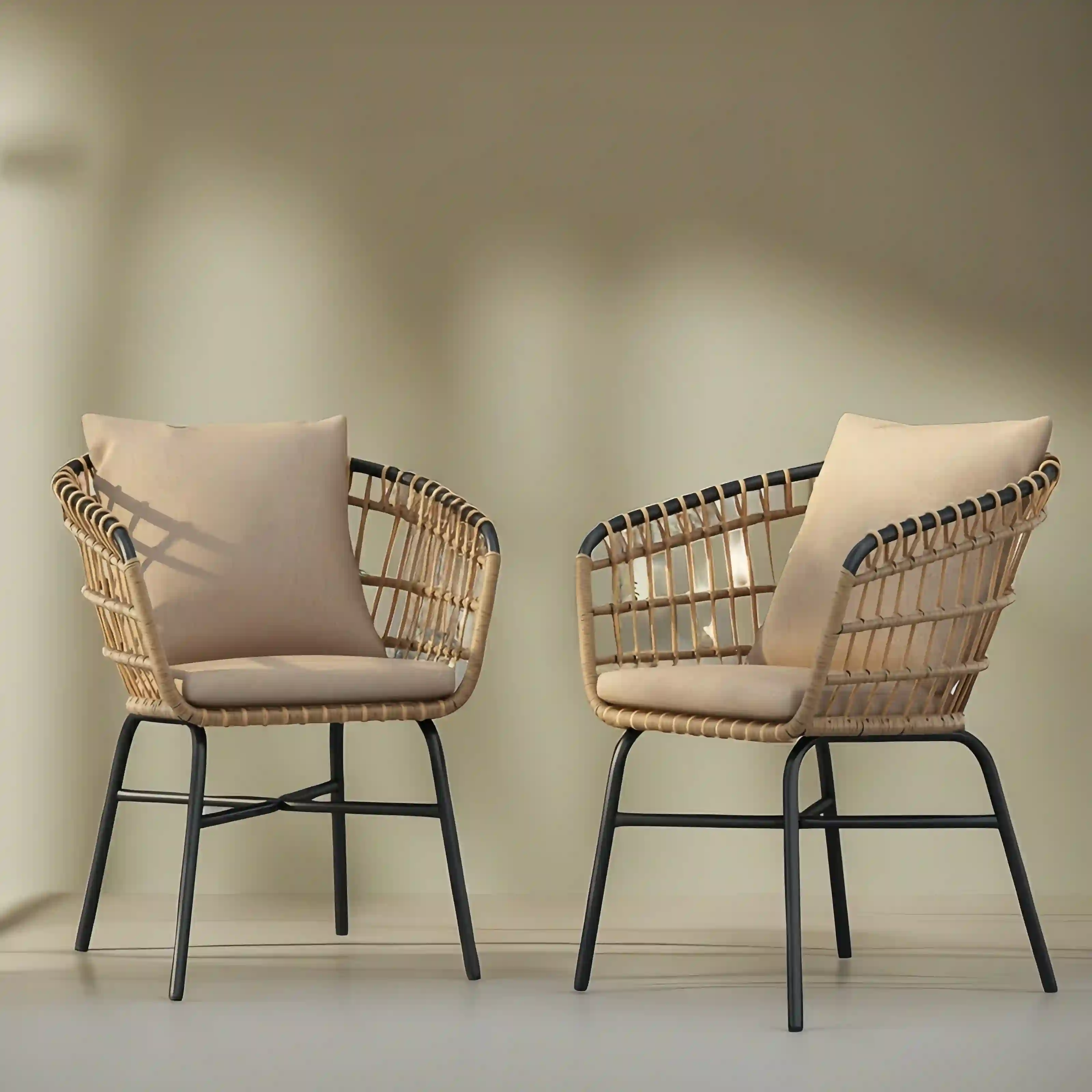 Darphe Outdoor Patio Woven Faux Rattan Chairs with Cushions, Set of 2